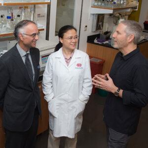 Our Mission - The Heart Foundation